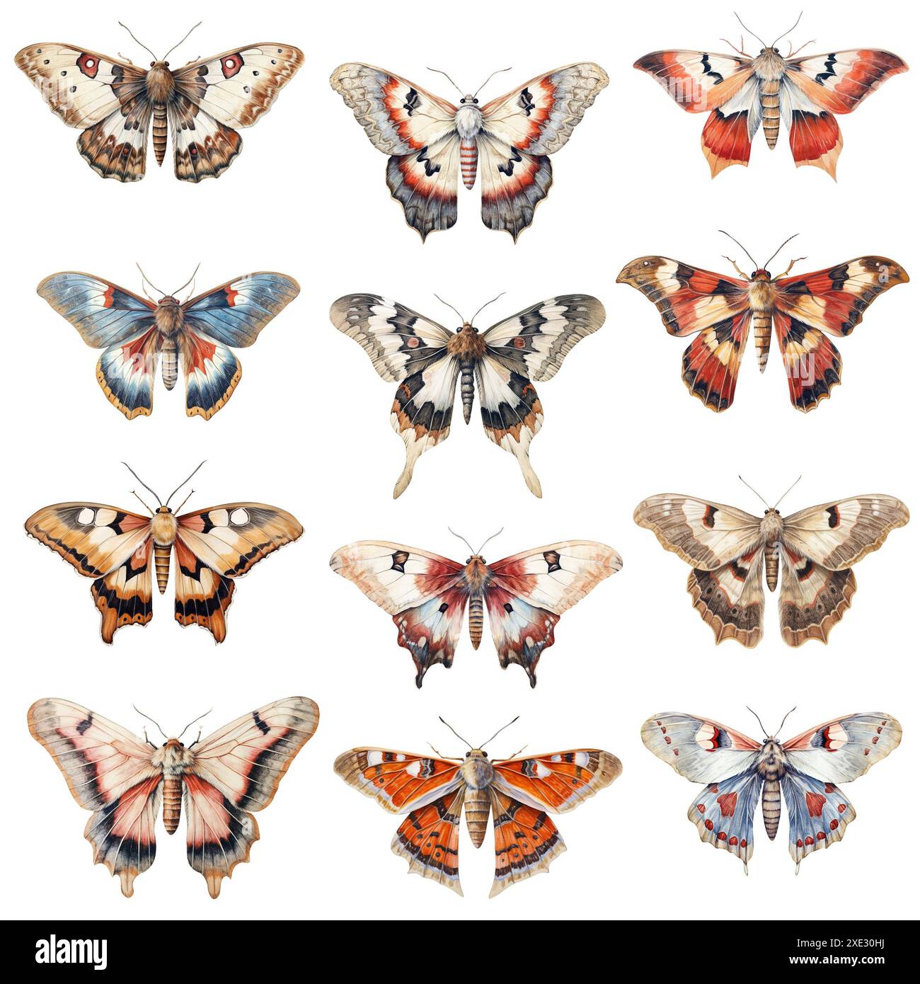 Moth watercolor set. Butterflies on white background. Luna moth Stock ...