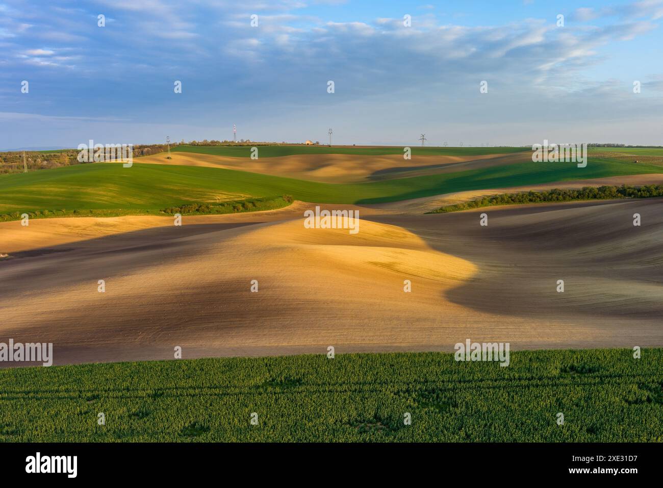 Green wavy hills with agricultural fields Stock Photo - Alamy