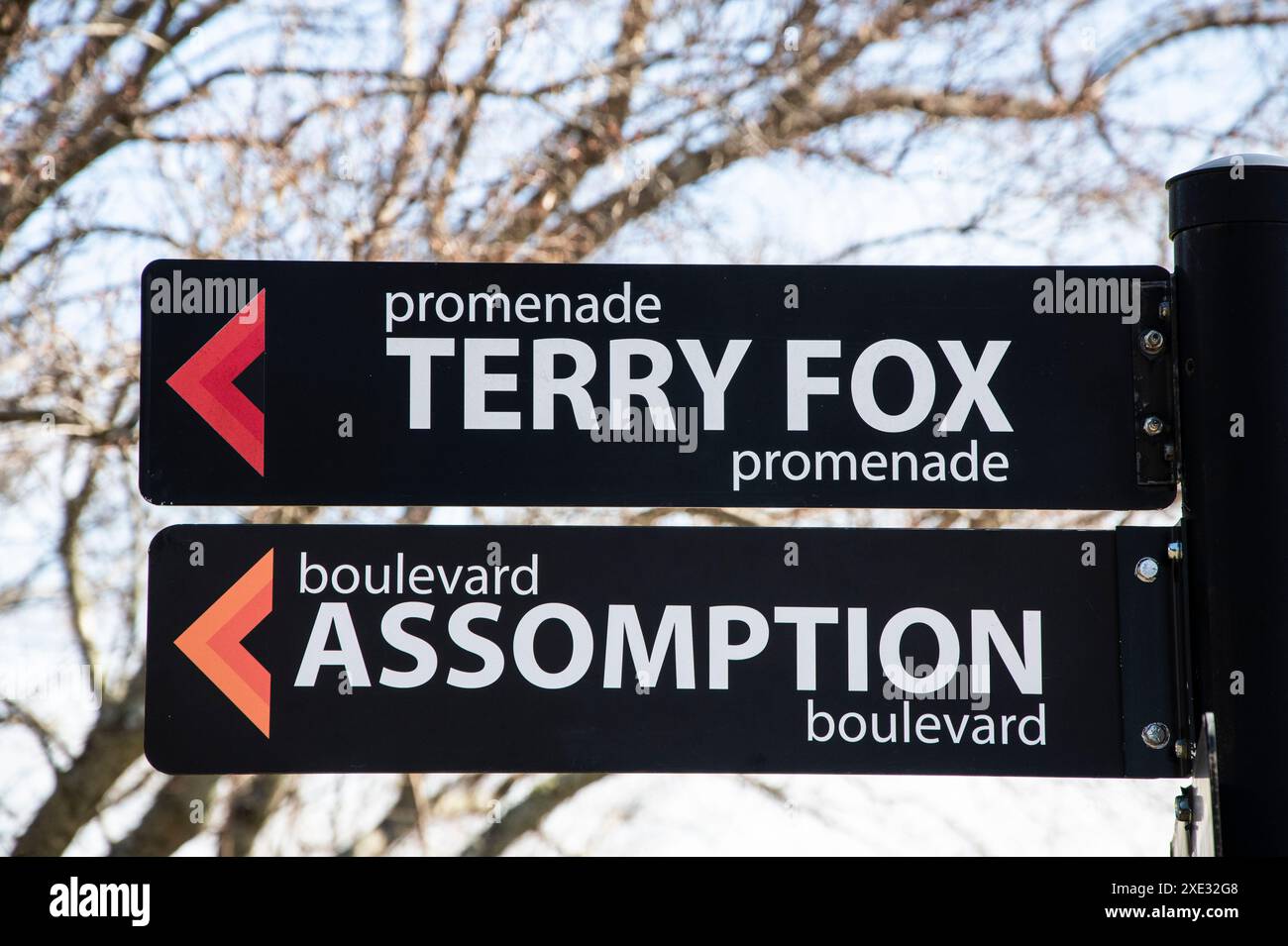 Terry Fox Promenade and Assomption Boulevard street signs in downtown ...