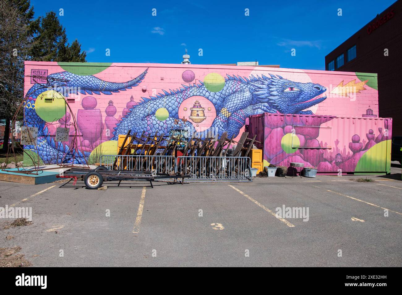 Bearded dragon mural on Assomption Blvd in downtown Moncton, New ...