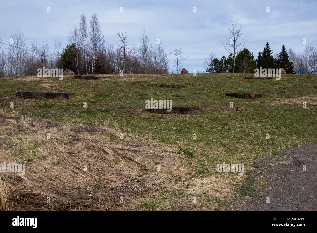 Wooden stumps at Riverfront Park in Dieppe, New Brunswick, Canada Stock ...