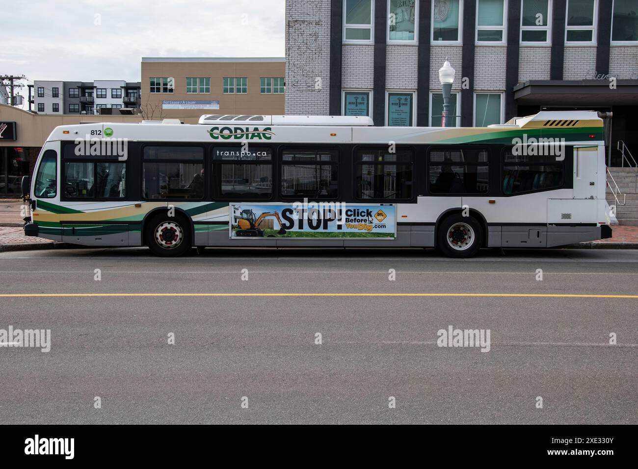 City bus on Main Street in downtown Moncton, New Brunswick, Canada ...