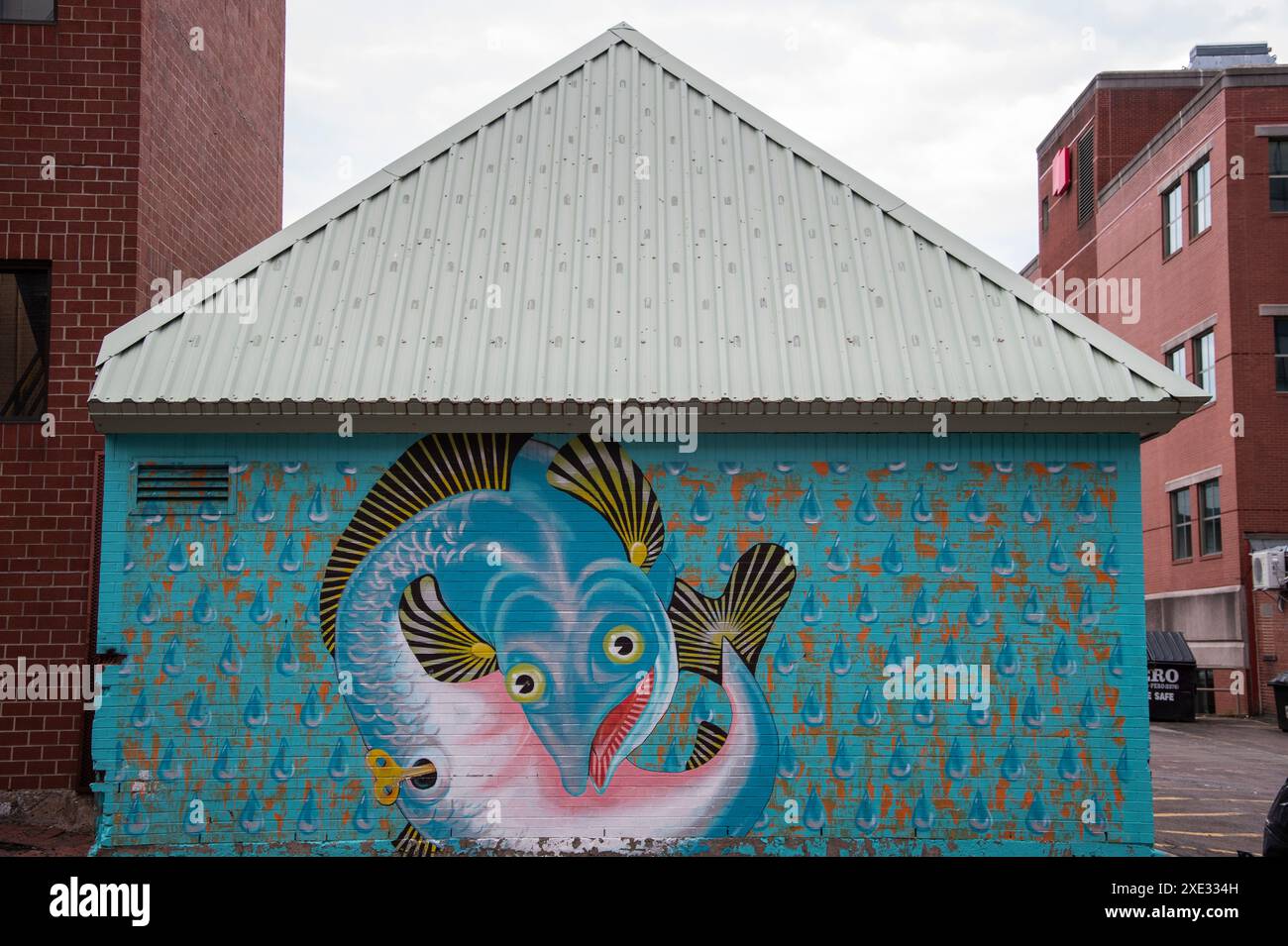 Fish mural on Alma Street in downtown Moncton, New Brunswick, Canada ...