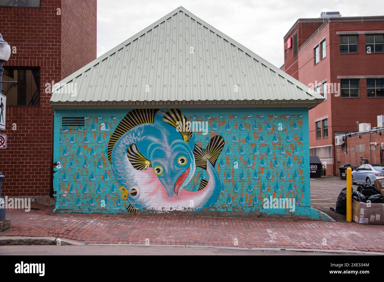 Fish mural on Alma Street in downtown Moncton, New Brunswick, Canada ...