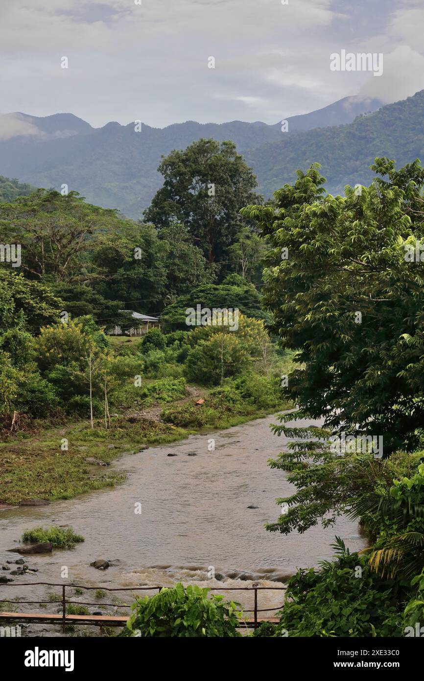 434 Yara River and the misty mountains of the Sierra Maestra Range in ...