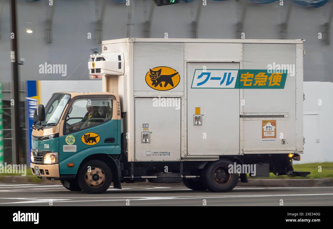 Yamanakako, Yamanashi Prefecture, Japan. Nov. 3, 2023. Kuroneko Yamato ...