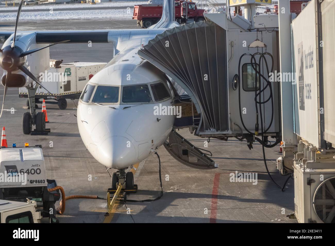 Calgary, Alberta, Canada, Nov. 3, 2023. A front view of a Westjet ...