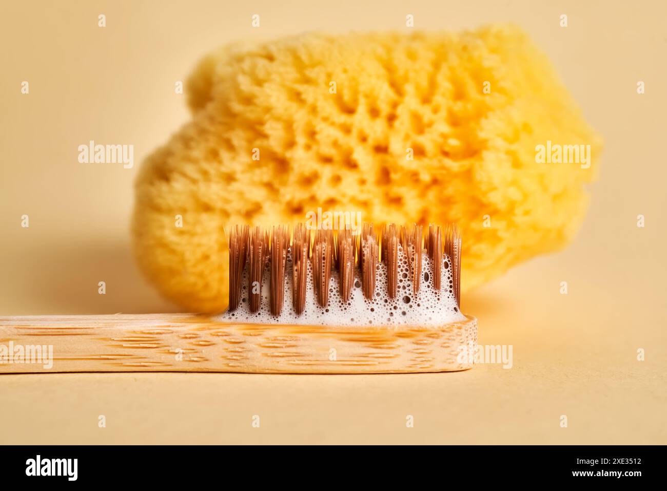 Plaque toothbrush hi-res stock photography and images - Alamy
