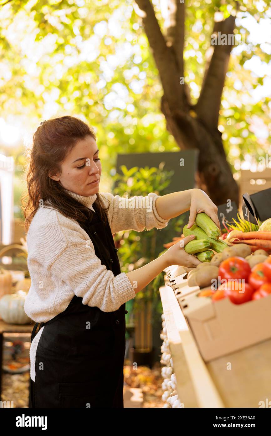 Farmer selling vegetables cardboard boxes hi-res stock photography and ...