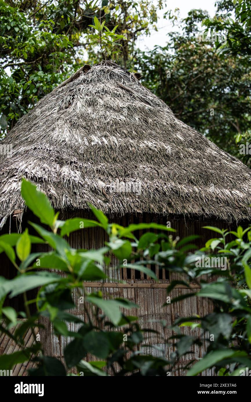 rustic hut constructed by a native tribe deep within the Amazon ...