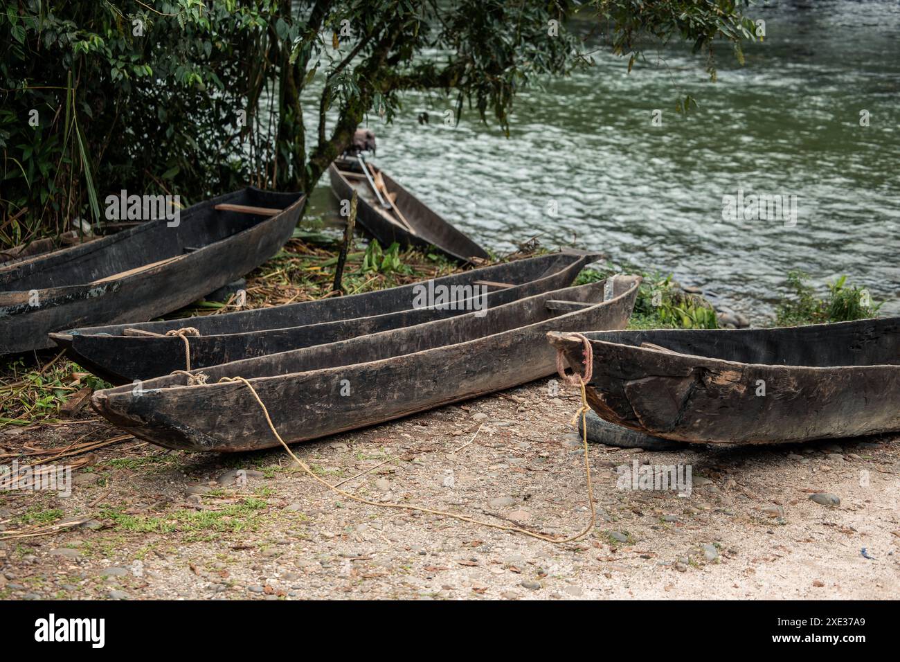 traditional wooden canoes crafted by the Wayuri indigenous tribe ...