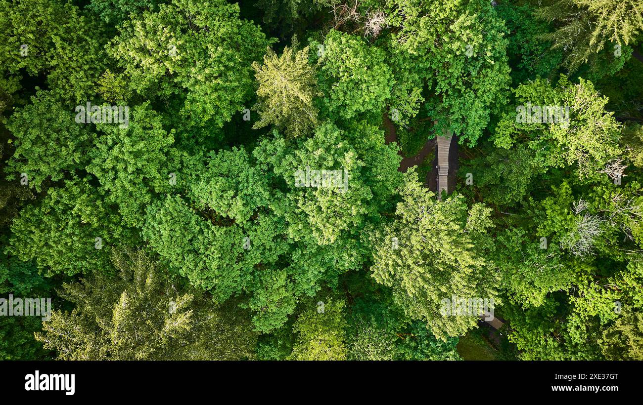 Aerial view green oregon forest hi-res stock photography and images - Alamy