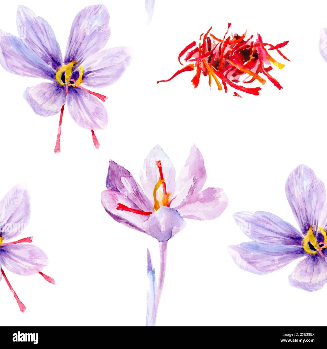 The saffron flower image has purple petals, red stigmas, and a white ...