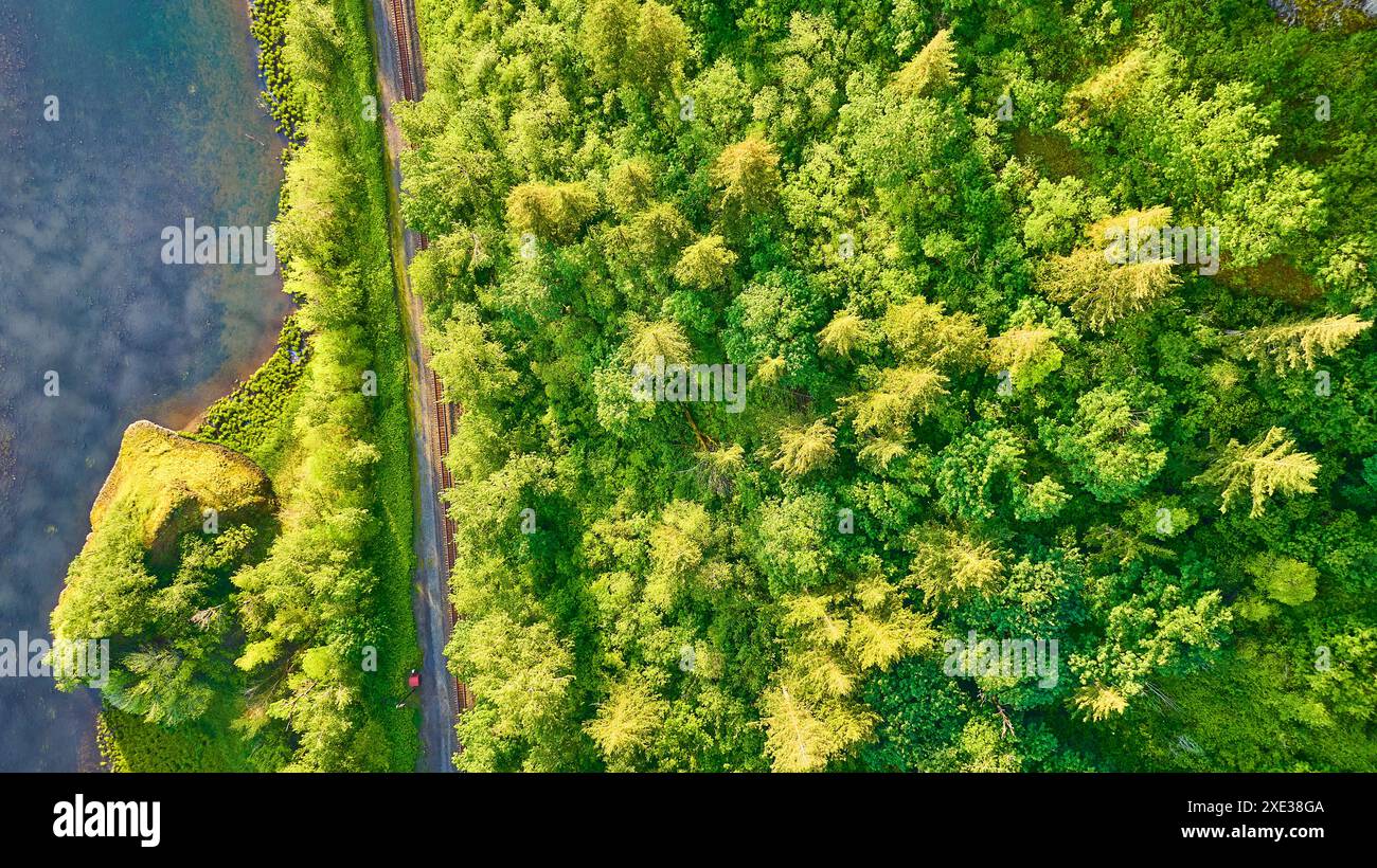 Aerial View of Lush Forest Railway and Reflective Water in Columbia ...