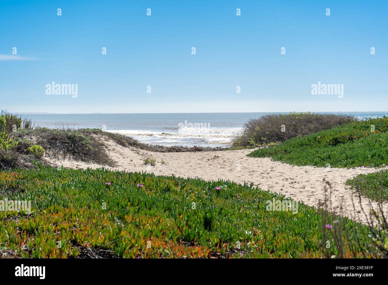 Surfers Point dunes In Ventura, California Stock Photo - Alamy