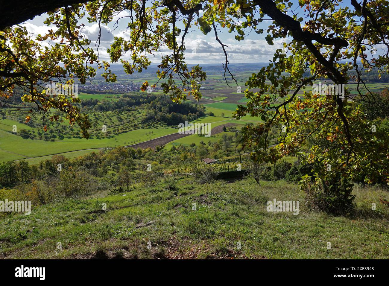 Ammerbuch entringen hi-res stock photography and images - Alamy