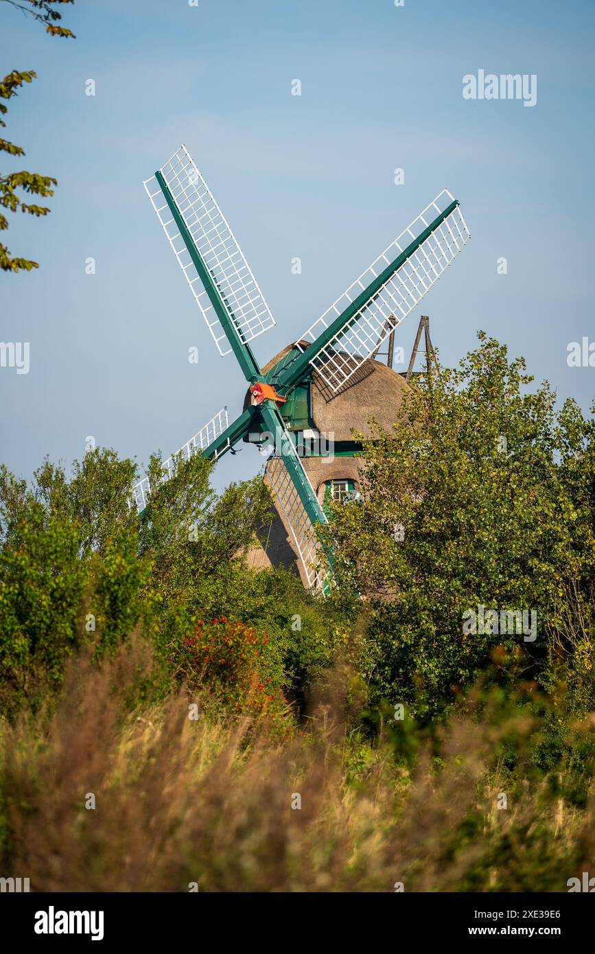 An old windmill in the nature park on the Baltic Sea Stock Photo - Alamy