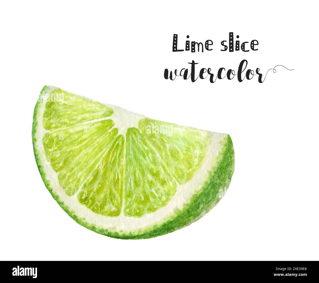 Watercolor lime illustration on white background, ideal for botanical ...