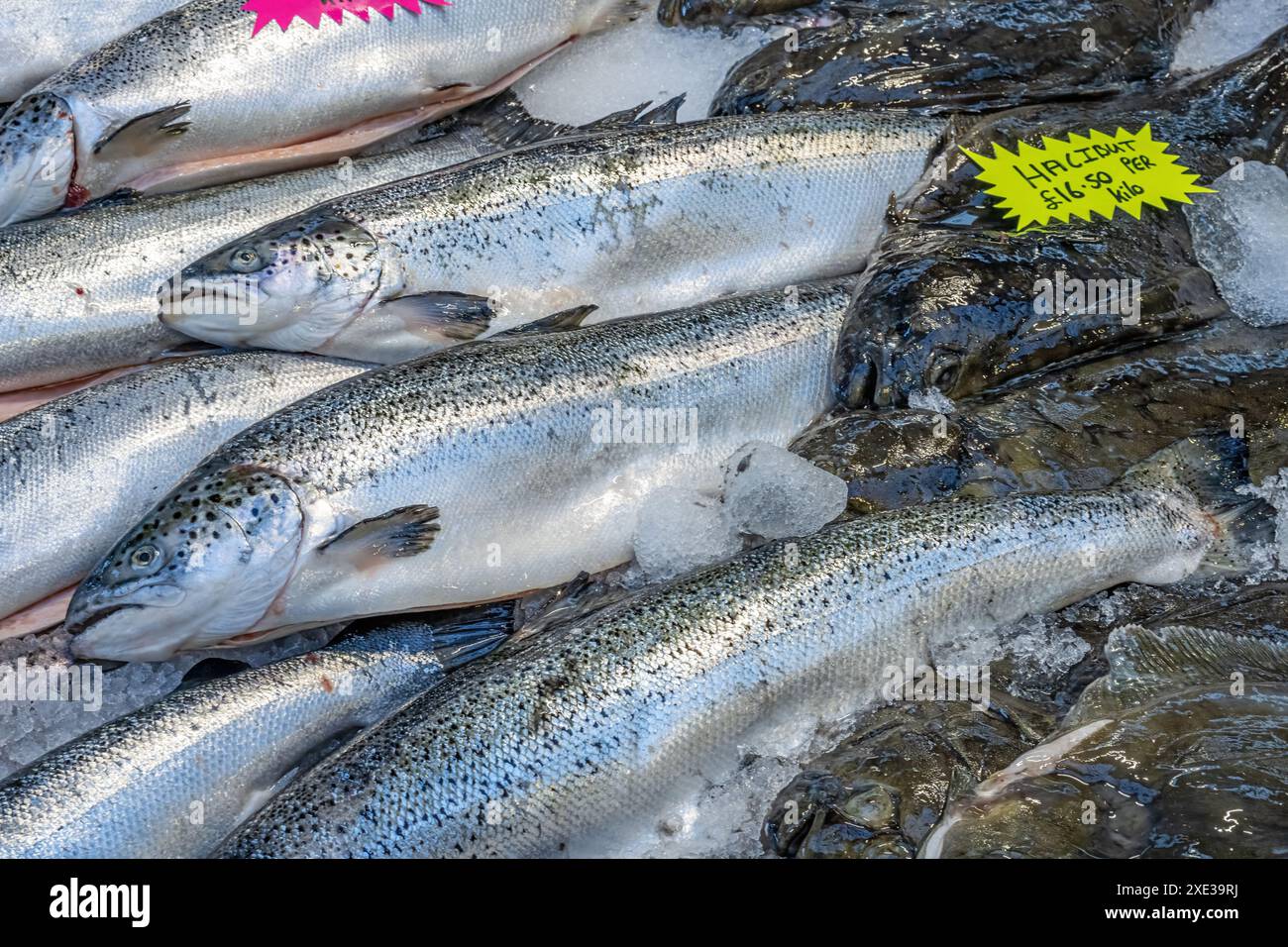 Halibut hi-res stock photography and images - Alamy