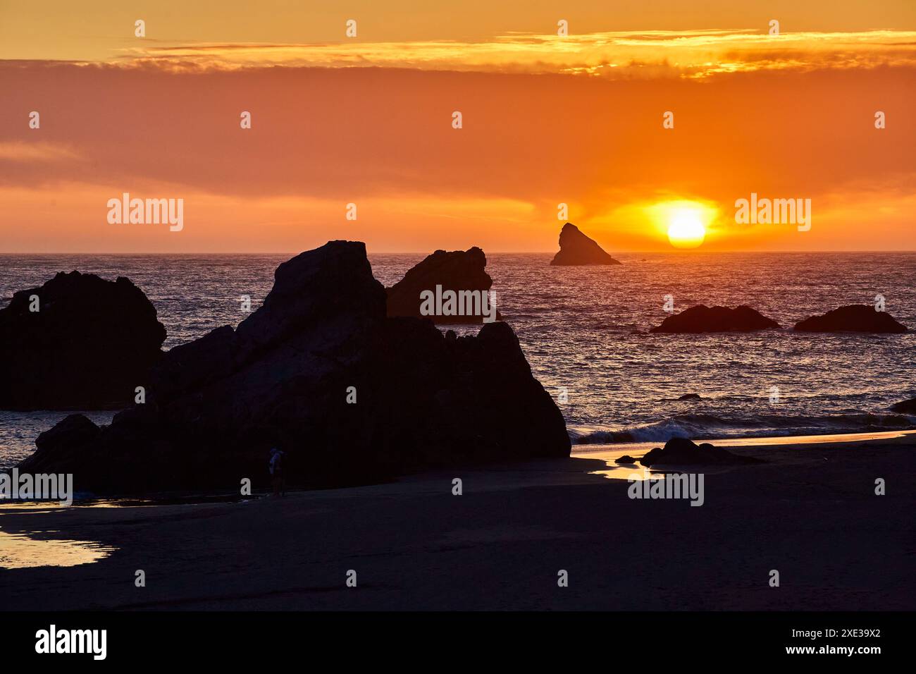 Sunset Silhouettes and Bicycle at Harris Beach State Park Ocean ...