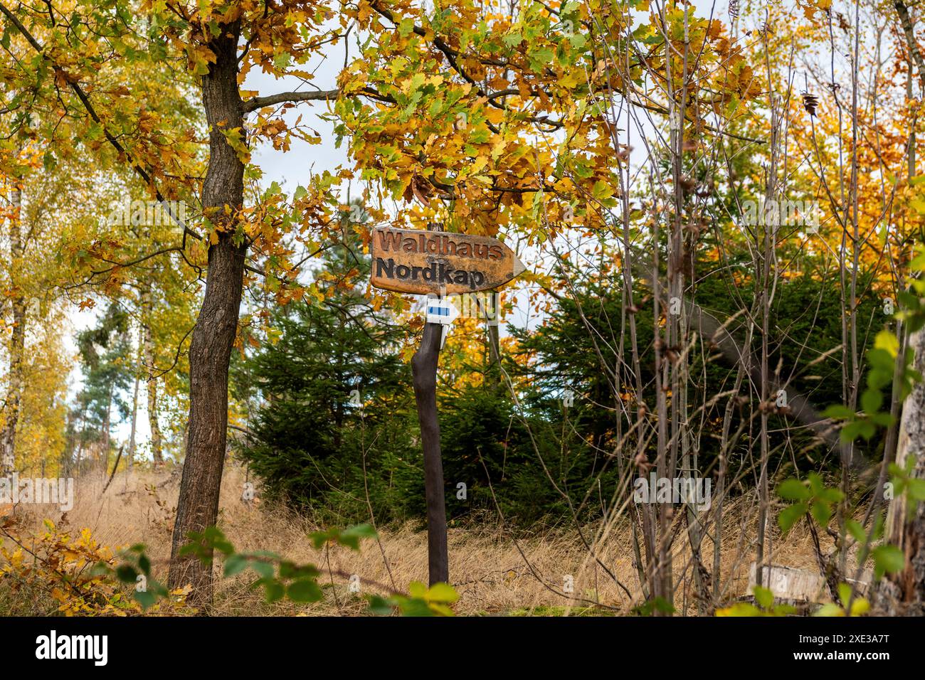 Hiking in autumn in the Upper Lusatia border region Stock Photo - Alamy