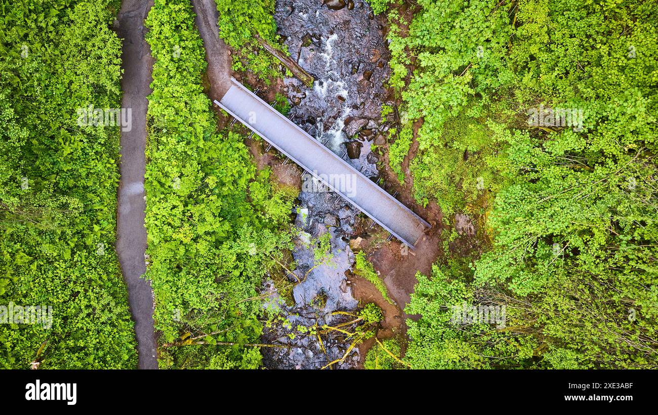 Aerial View of Forest with Winding Road and Bridge Over River Stock ...