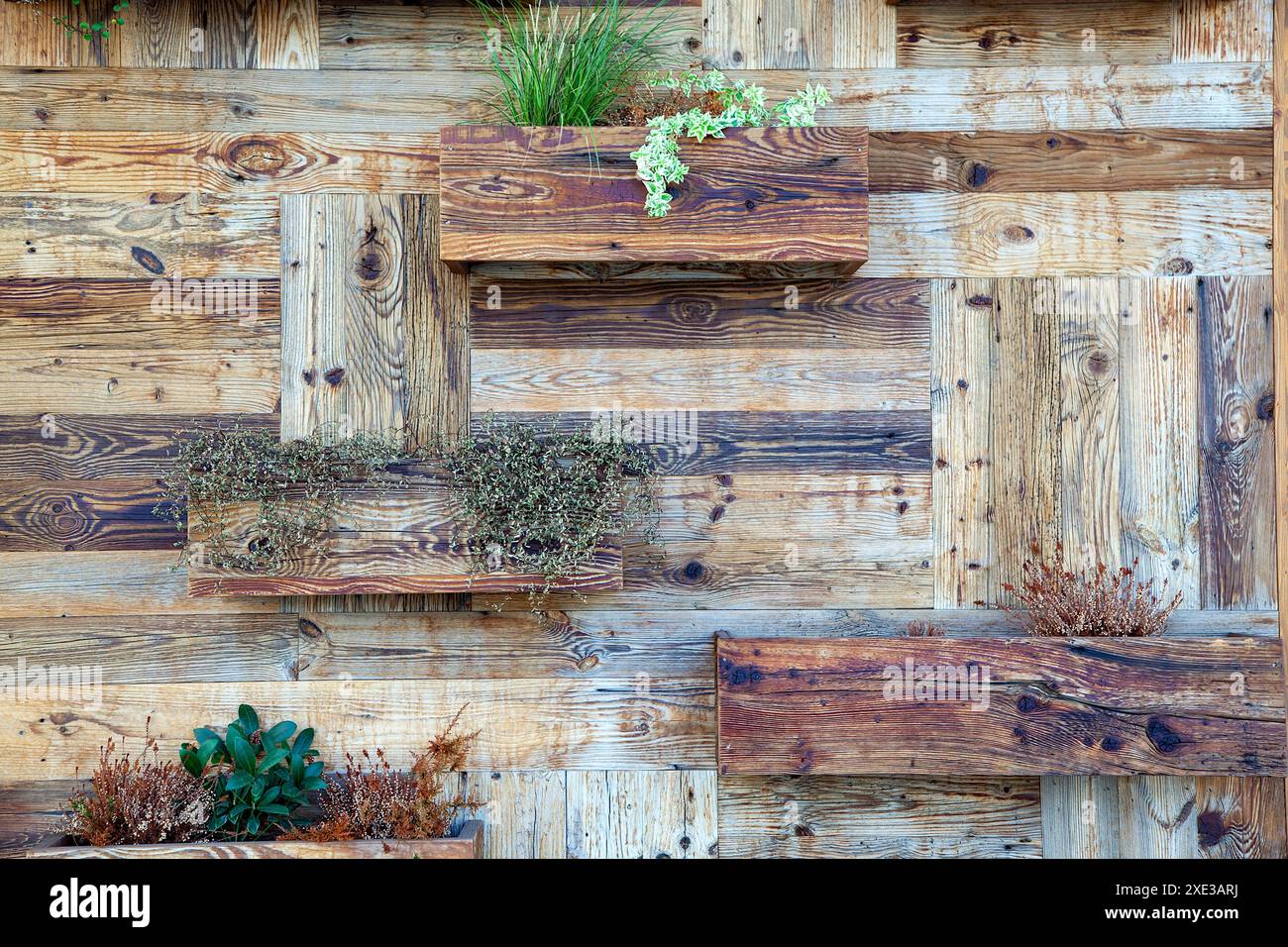 Rustic wood planks wall with Green grass and plant decoration. old ...