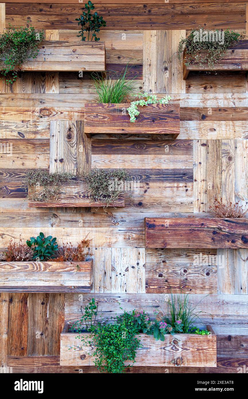 Rustic wood planks wall with Green grass and plant decoration. old ...