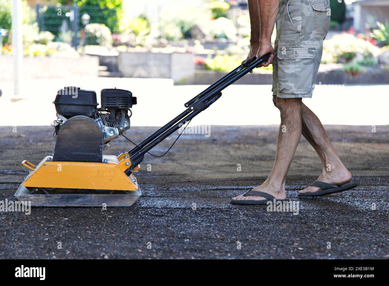 Male Worker using vibratory plate compactor to firm soil at worksite ...
