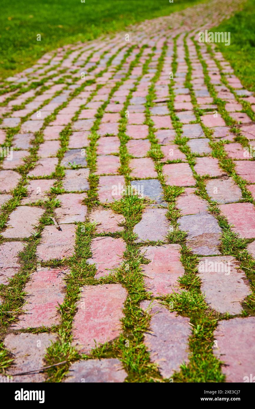Perspective red brick pathway texture hi-res stock photography and ...