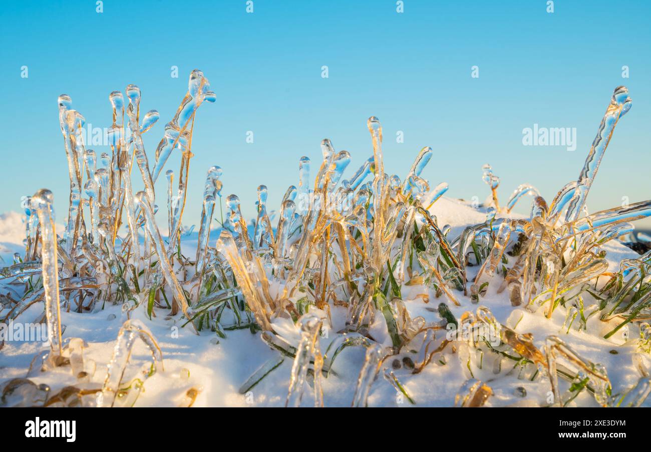 Frozen particle hi-res stock photography and images - Alamy