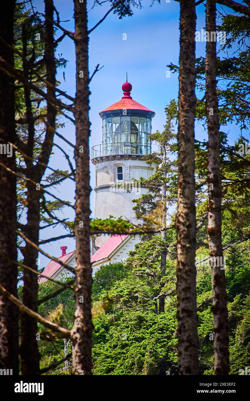 Lighthouse among trees hi-res stock photography and images - Alamy