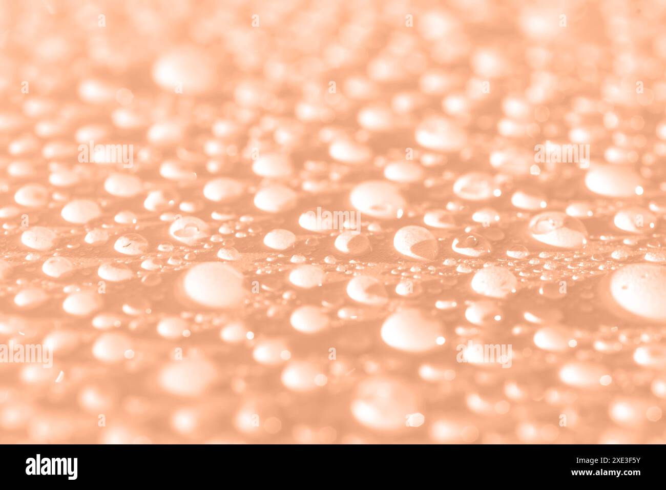 Lots of drops on a Peach Fuzz background Stock Photo - Alamy
