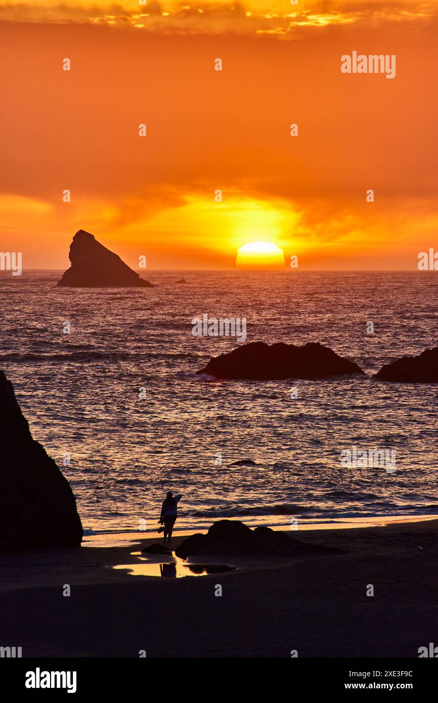 Sunset Silhouette Harris Beach with Rock Formation and Lone Figure ...