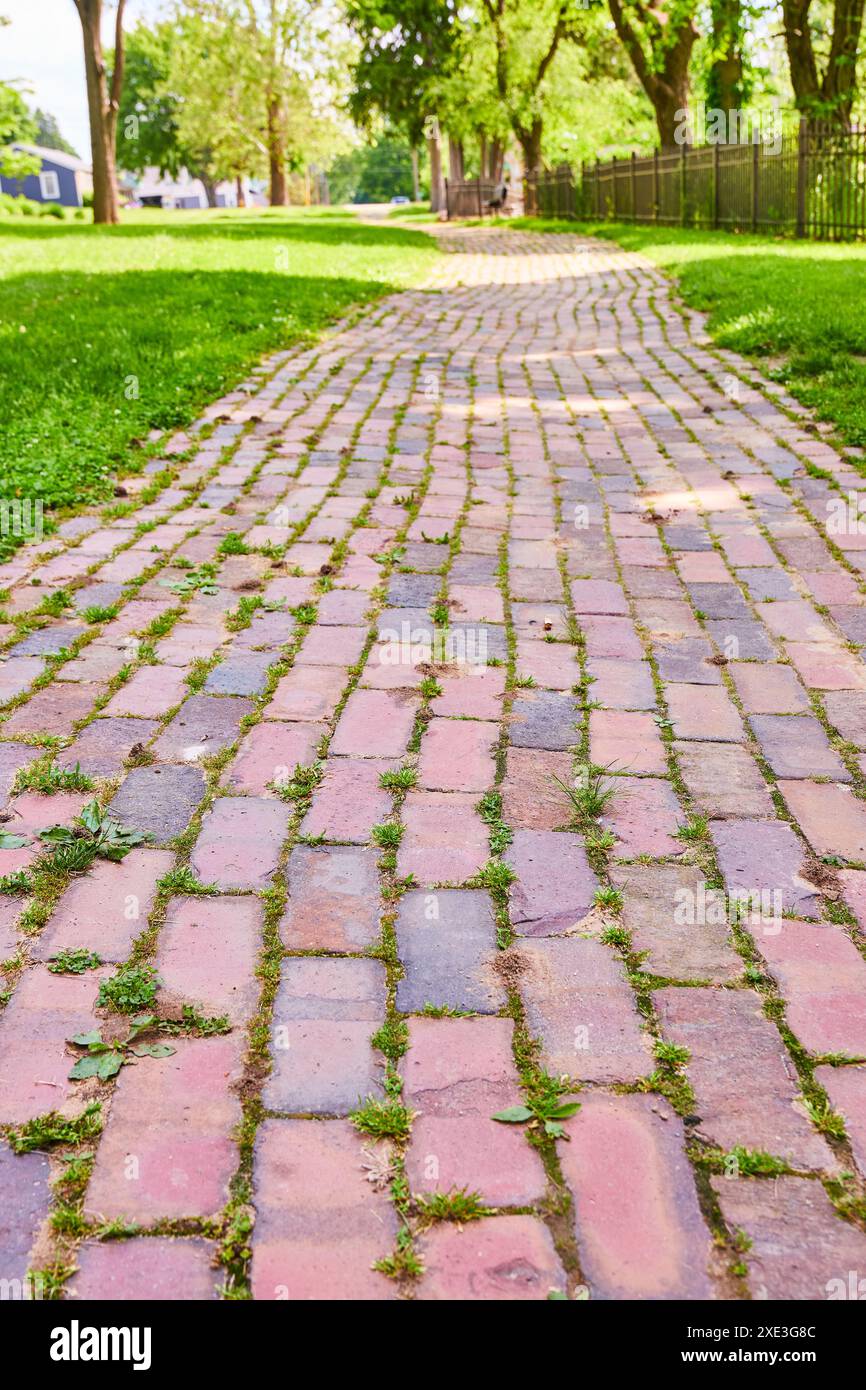 Winding Brick Pathway in Lush Park with Tree Canopy Perspective Stock ...