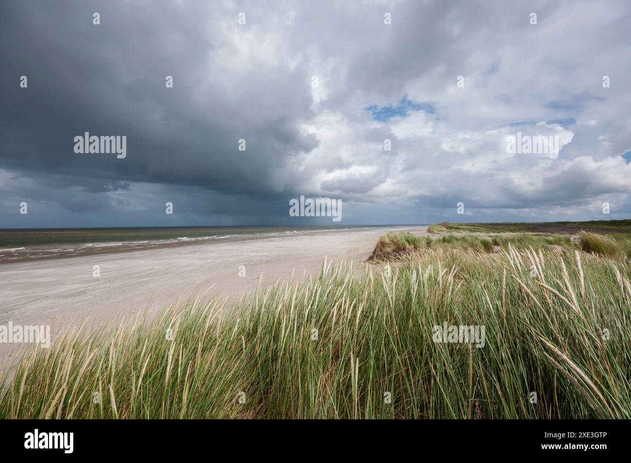 Cold sunny weather with storm and heavy clouds on the beach of the ...