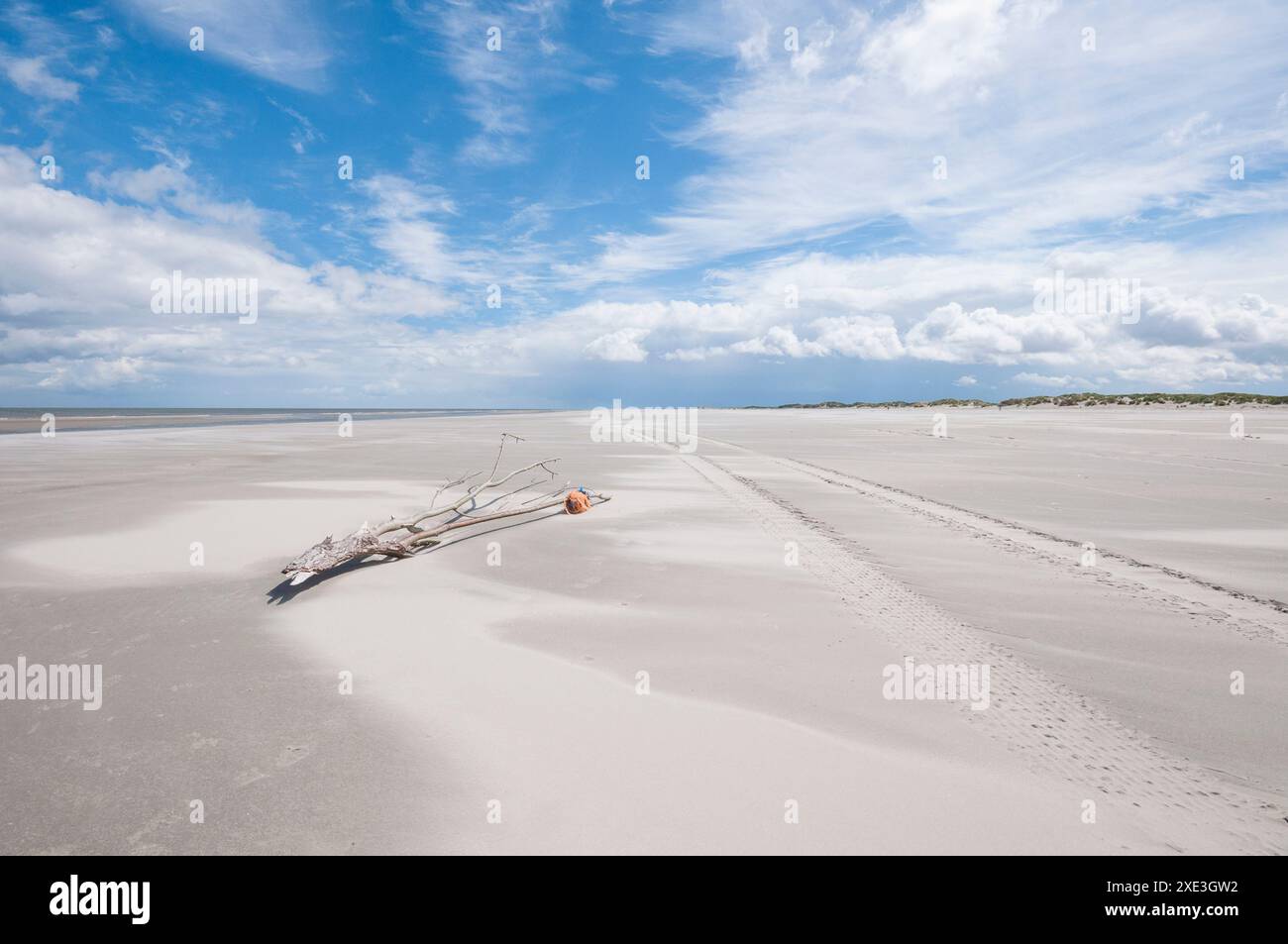 Cold sunny weather with storm and heavy clouds on the beach of the ...