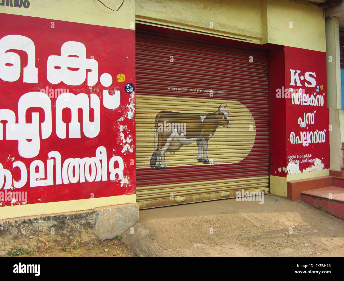 Sacred cow hindu hi-res stock photography and images - Alamy