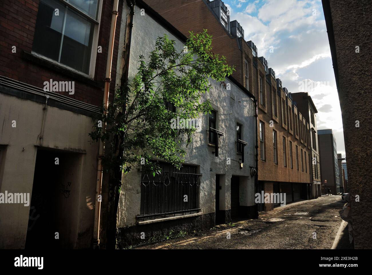 Bath Lane, Glasgow Stock Photo - Alamy