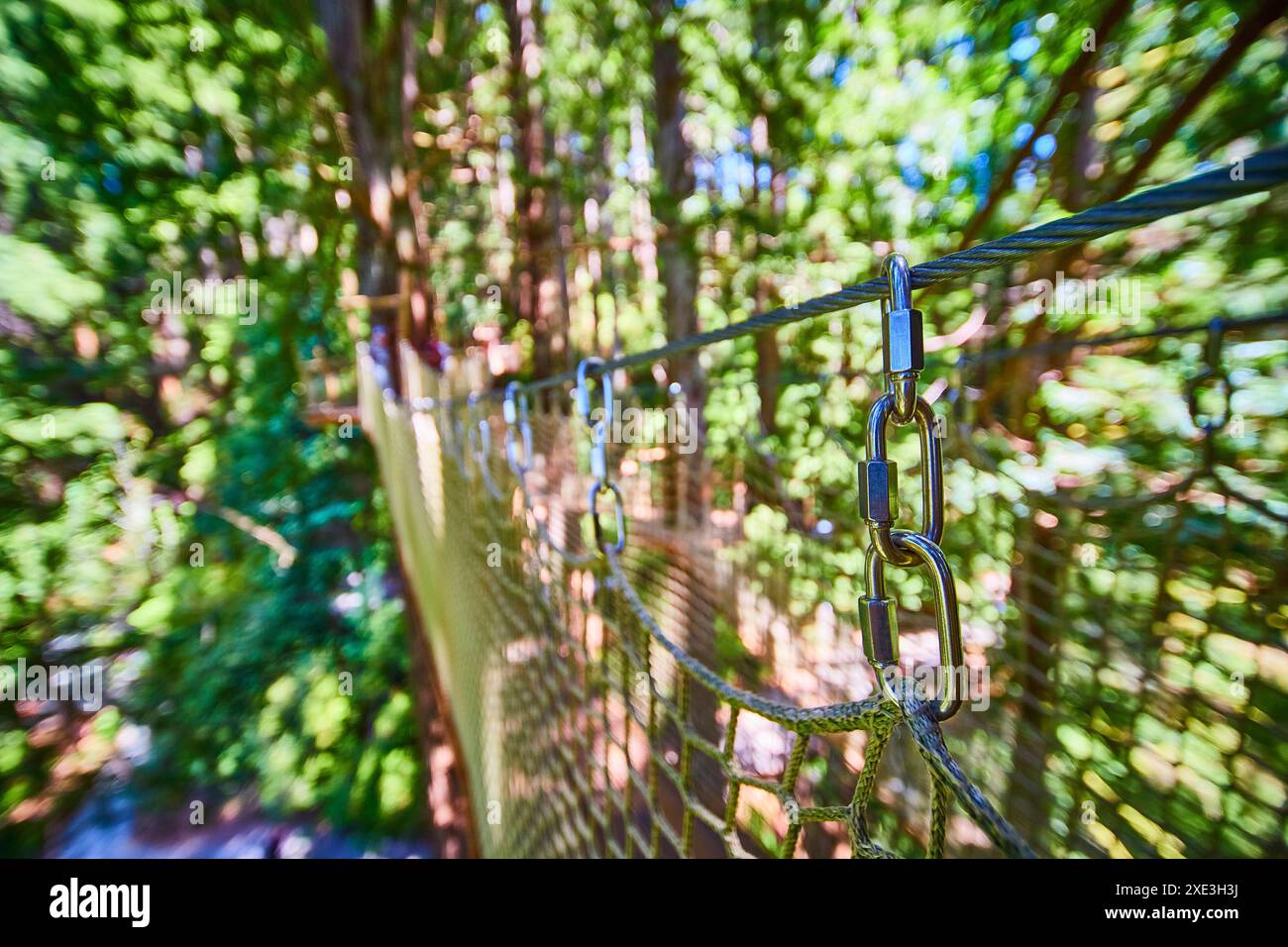 Suspension Bridge Chains and Netting with Forest Background at Eye ...