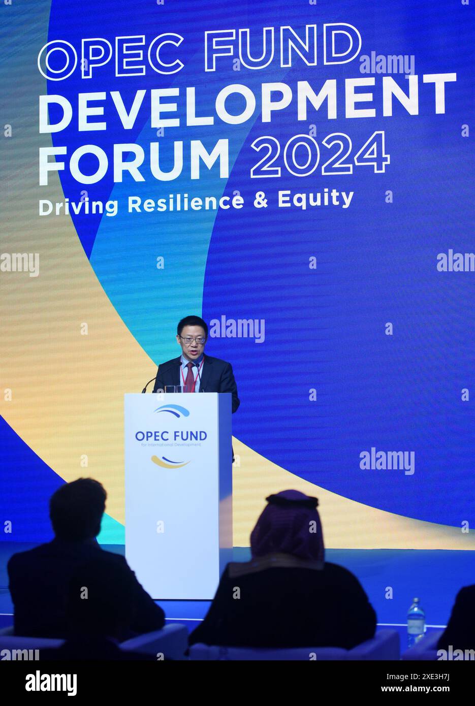 Vienna, Austria. 25th June, 2024. Liao Min, China's vice finance ...