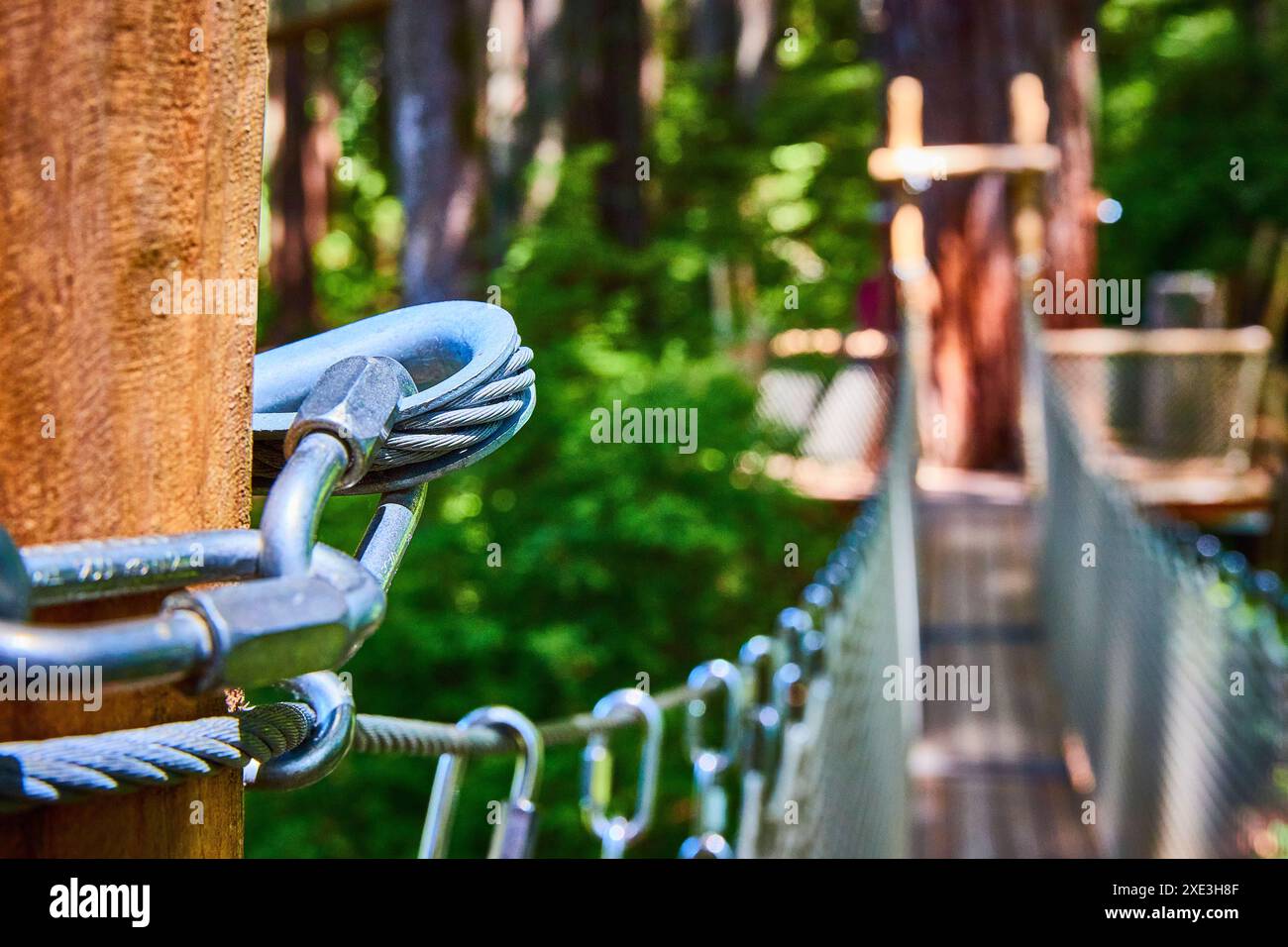 Secure Carabiner and Wire Rope on Forest Suspension Bridge Eye-Level ...