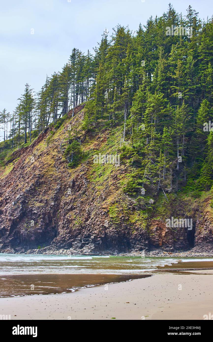 Cliff ecosystem hi-res stock photography and images - Alamy