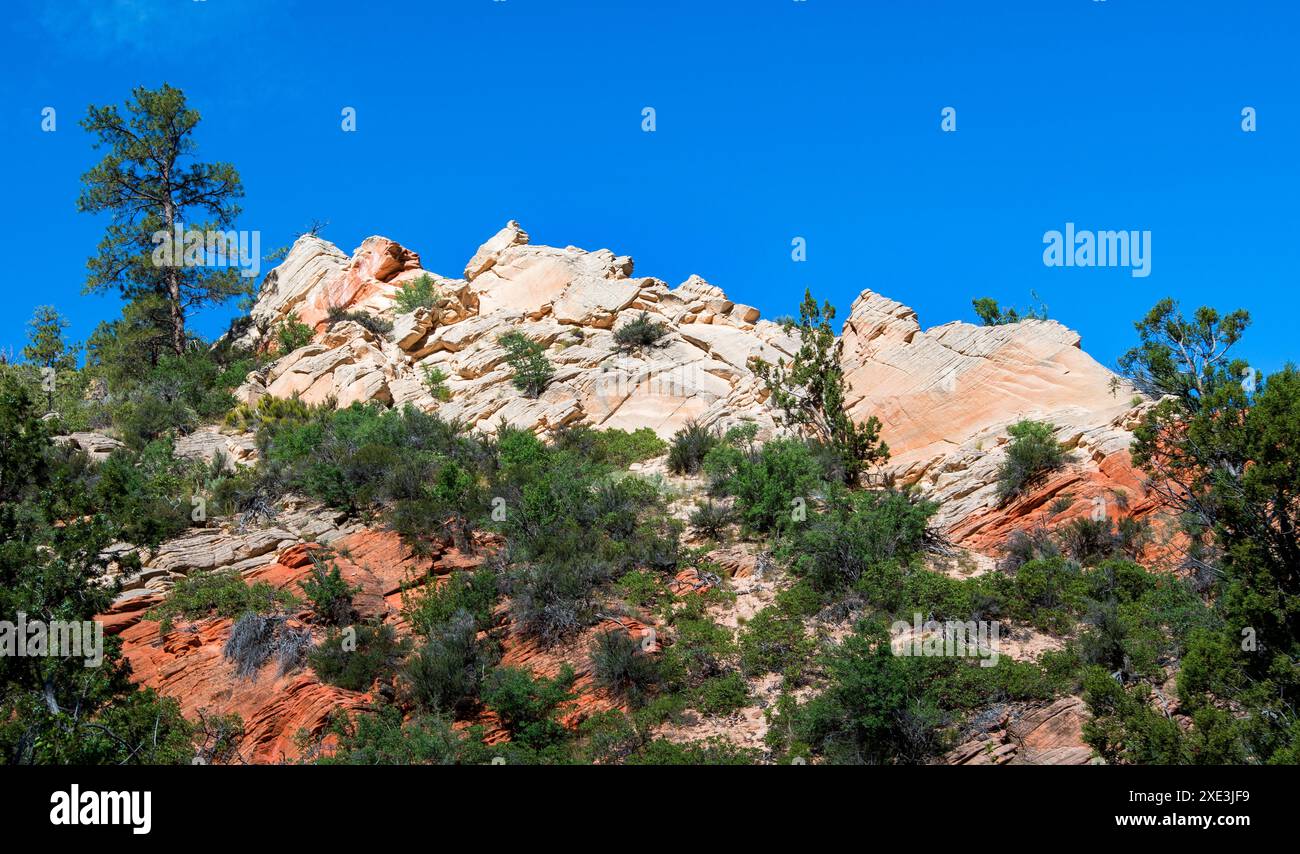 Red Hollow Slot Canyon Trail - towering rock formations showcase a ...