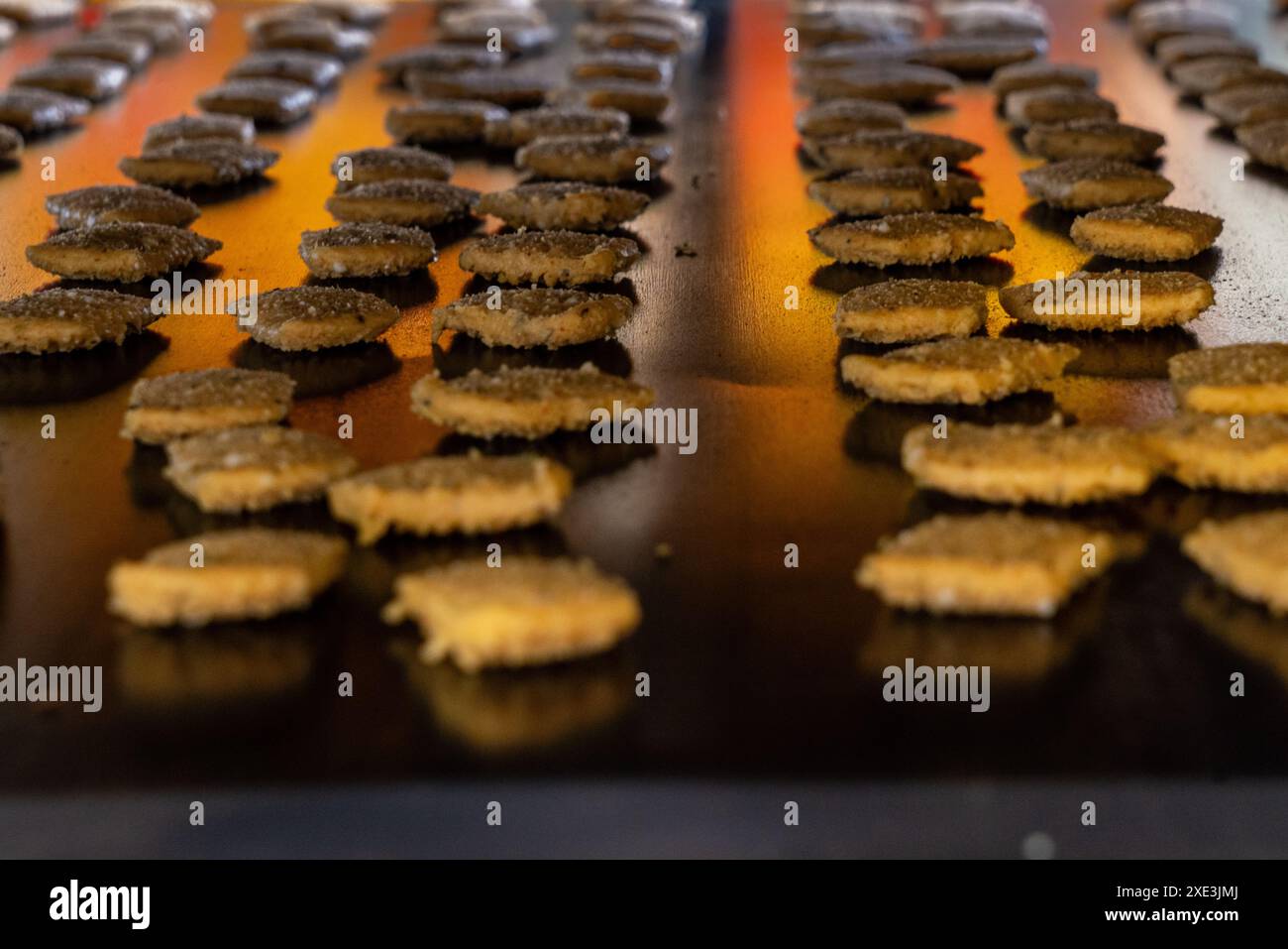 Christmas biscuits on baking trays Stock Photo - Alamy