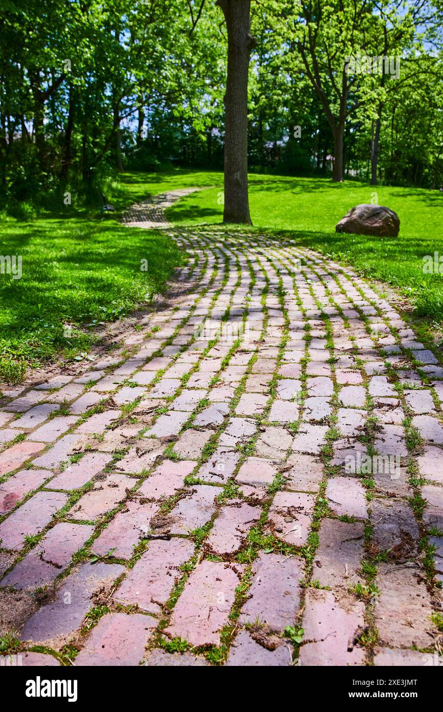 Serene walk through lush park hi-res stock photography and images - Alamy