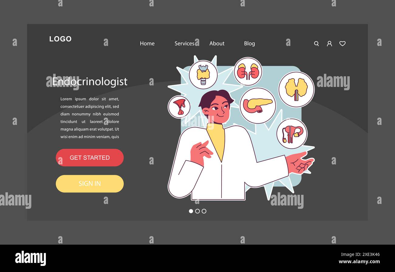 Endocrinology. Endocrine system organs, pancreas thyroid gland ...