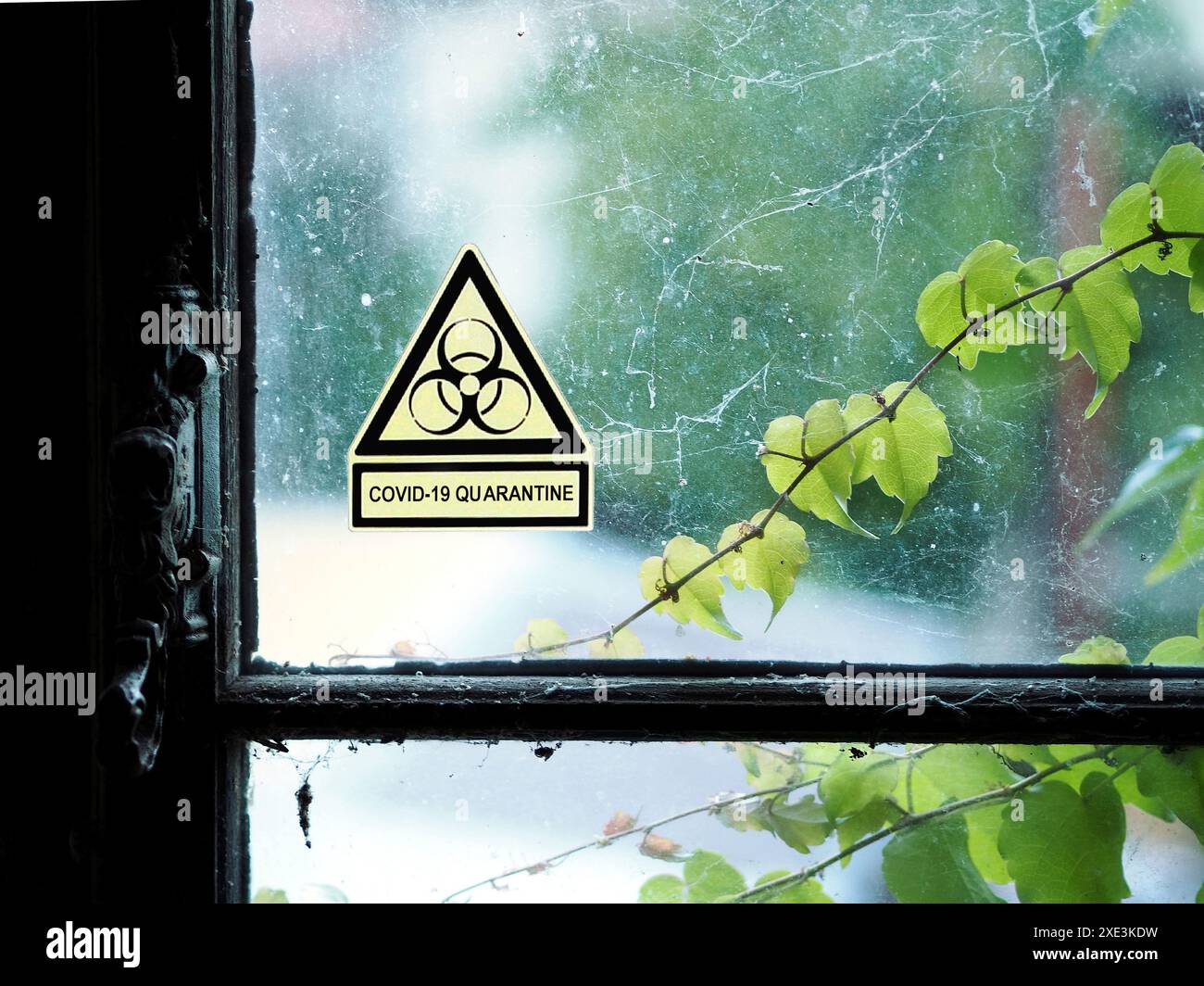 Warning sign, biohazard symbol, message COVID-19 Quarantine on old ...