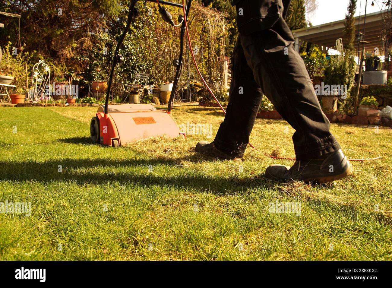 Using a scarifier in the garden to improving quality of the lawn in ...