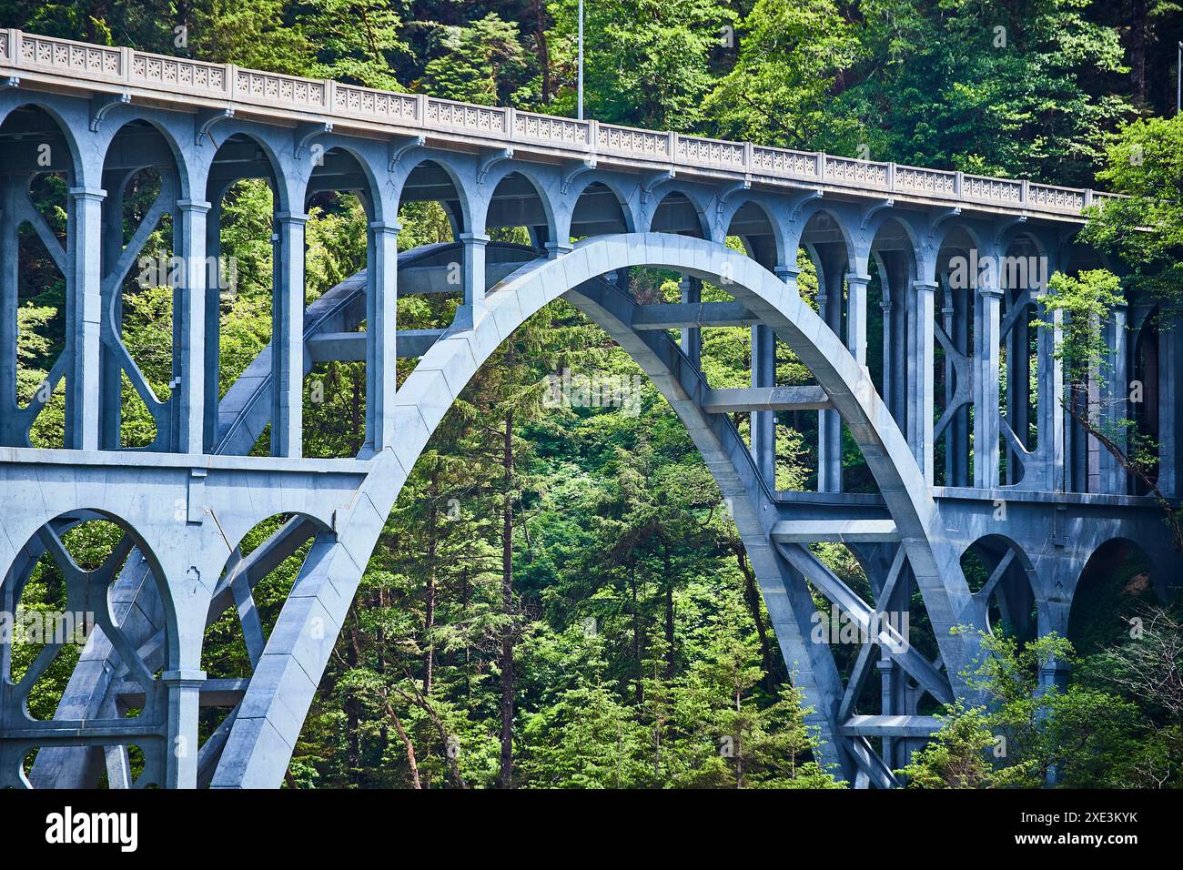 Arched Concrete Bridge Amidst Lush Forest from Side View Stock Photo ...